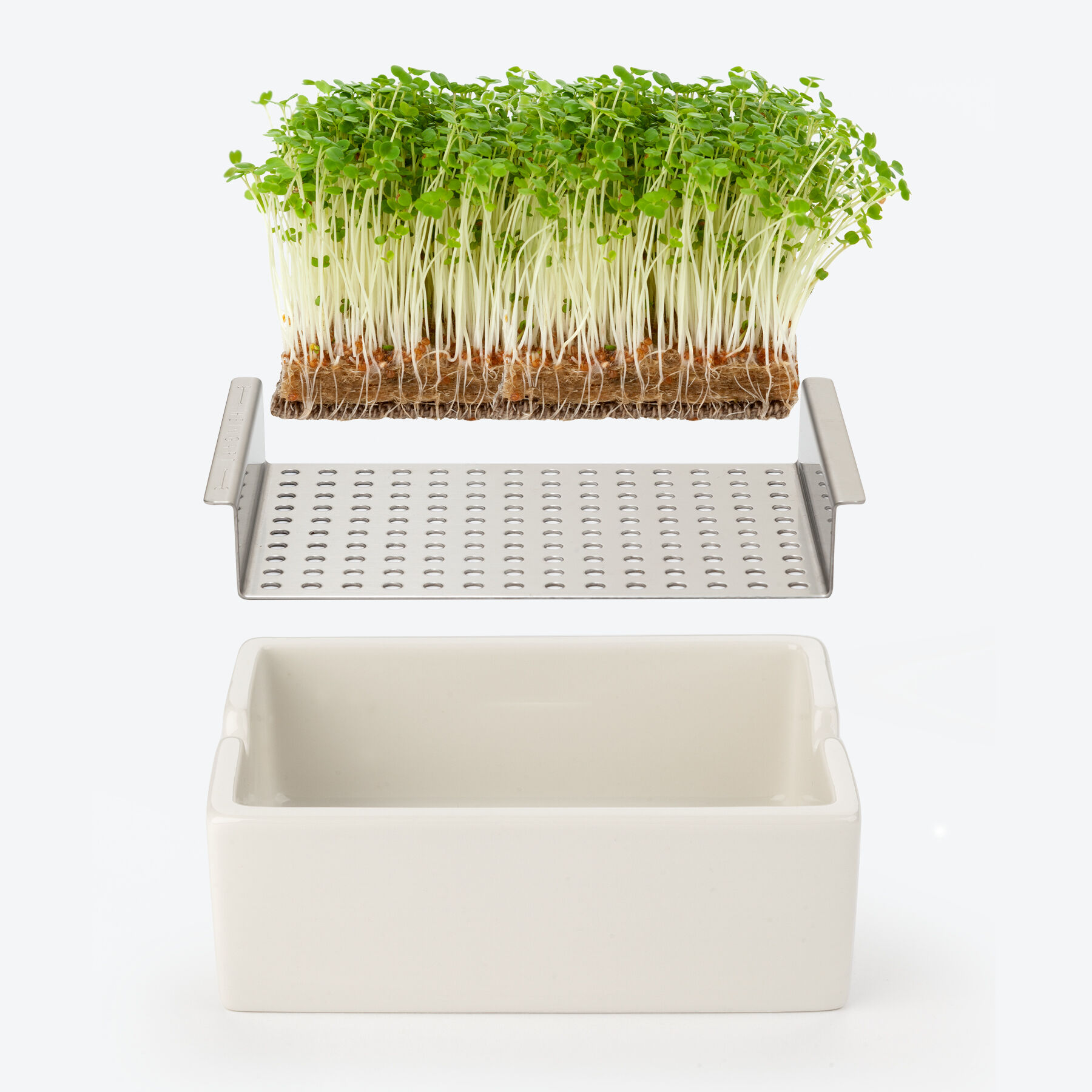 Low-Carb Bio Microgreens: Ganzjährig gesunde frische Kräuterkost - DE ...