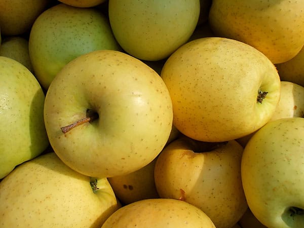 Apfel – der Star unter den Früchten | GenussMAGAZIN